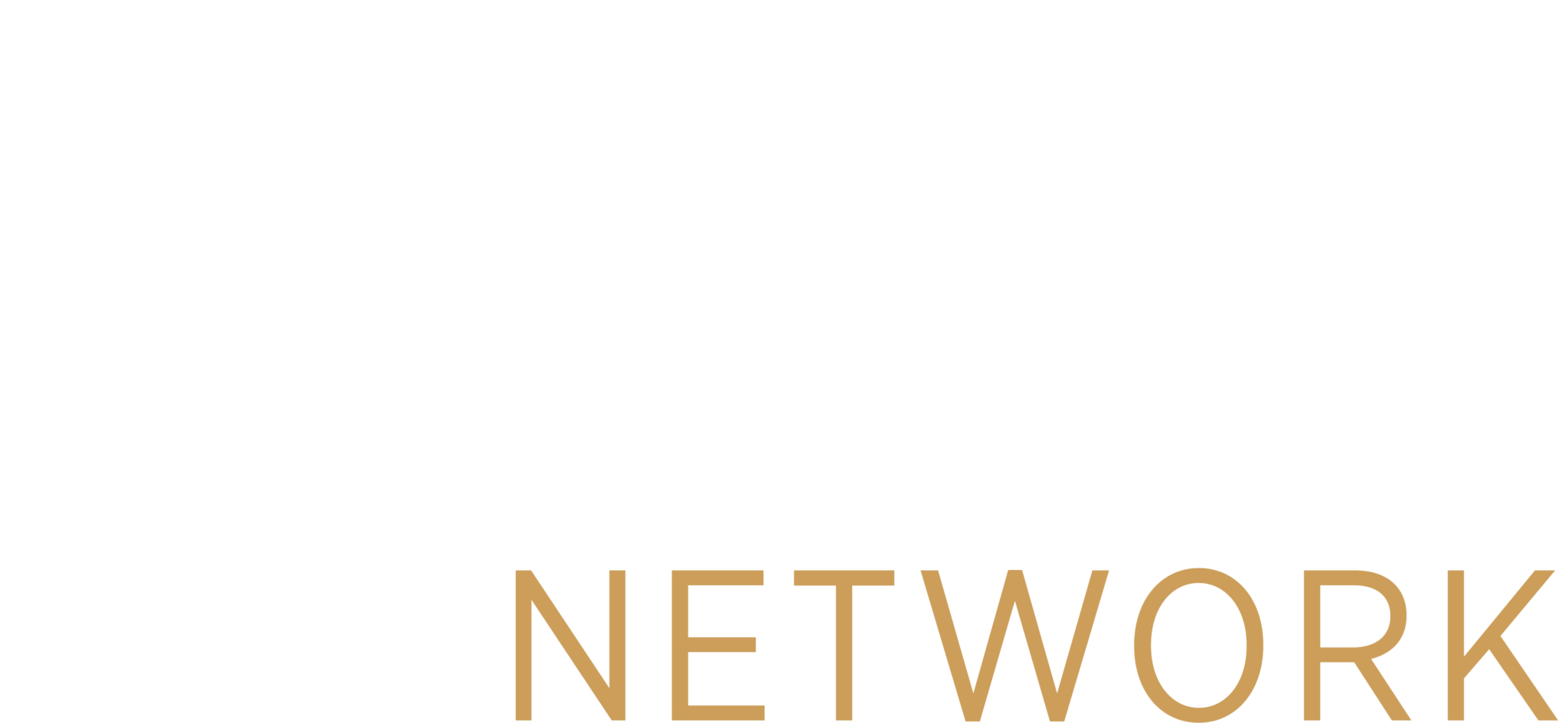 CEO Peer Advisory Groups - Chief Executive Network